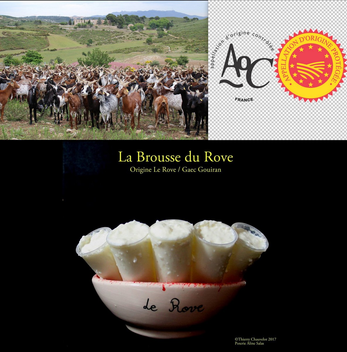 La brousse du Rove AOC devient AOP ! - Le Rove