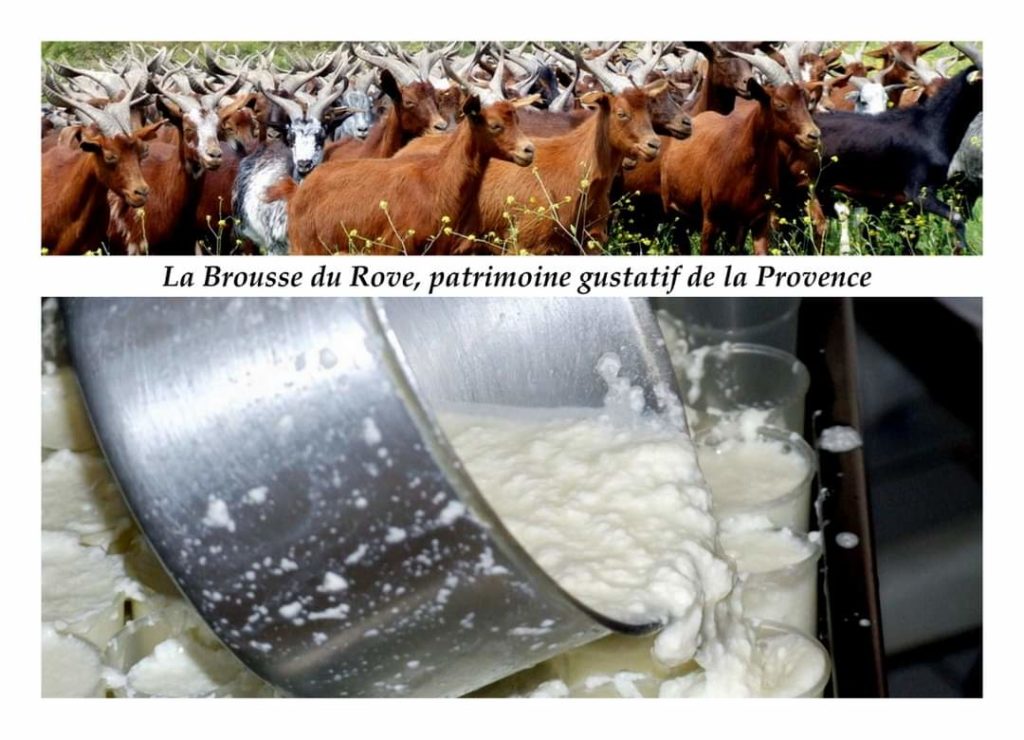 La brousse du Rove AOP est (enfin) de retour dans nos assiettes ...